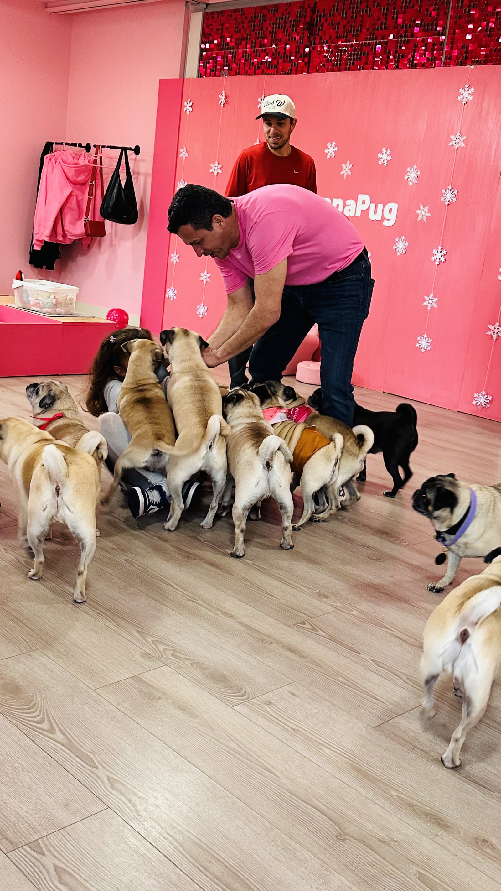 CuppaPug - Book Your Visit