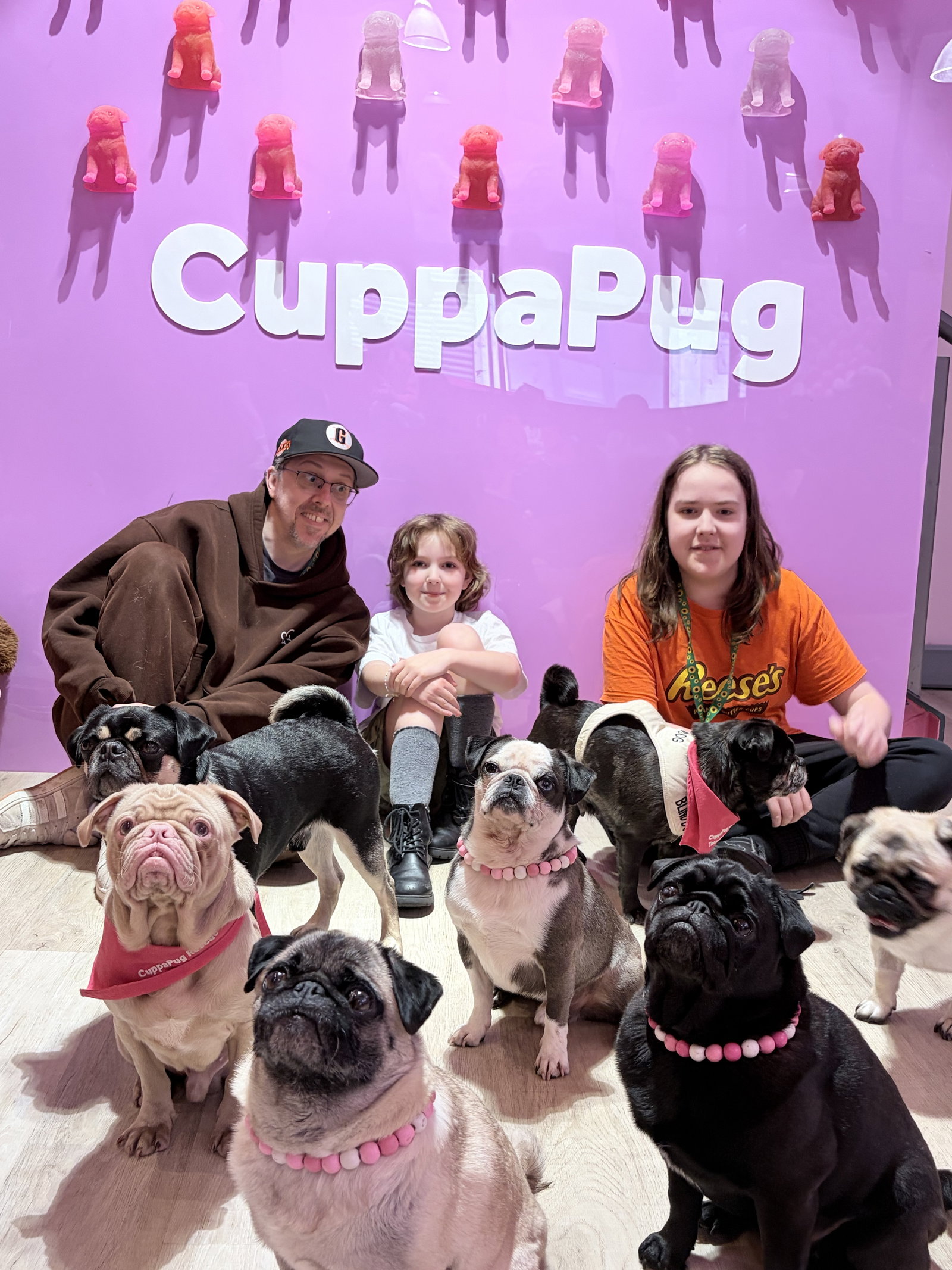 Book CuppaPug Manchester Tickets