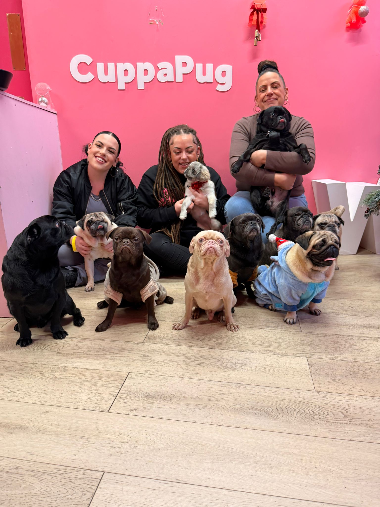 CuppaPug - Book Your Visit