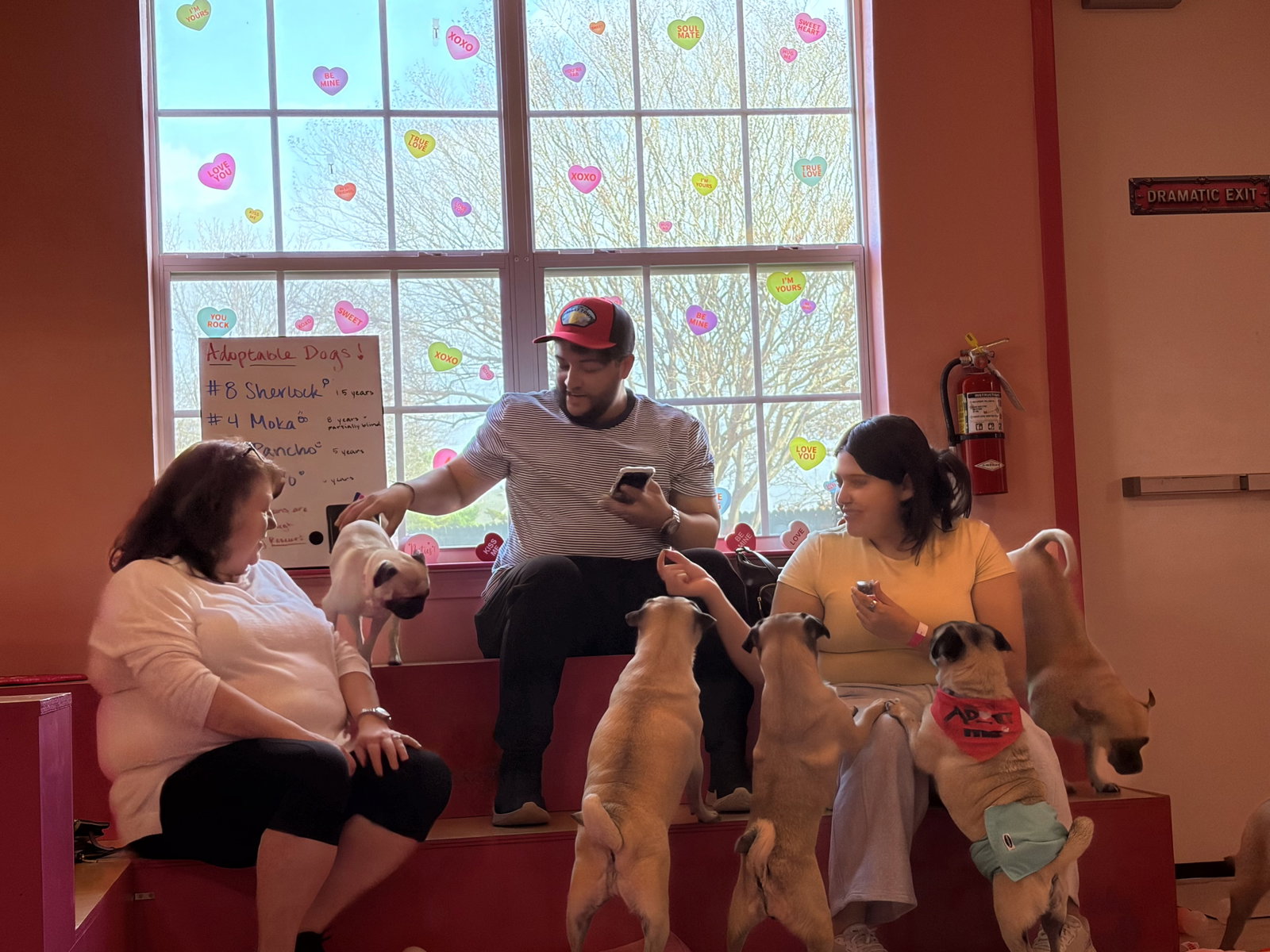 CuppaPug - Book Your Visit