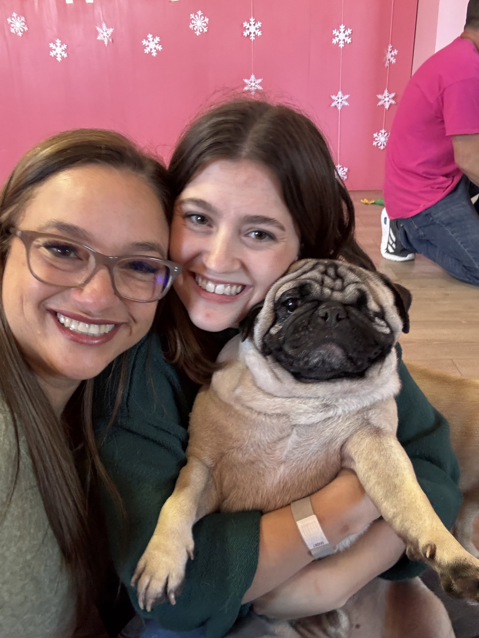 CuppaPug - Book Your Visit