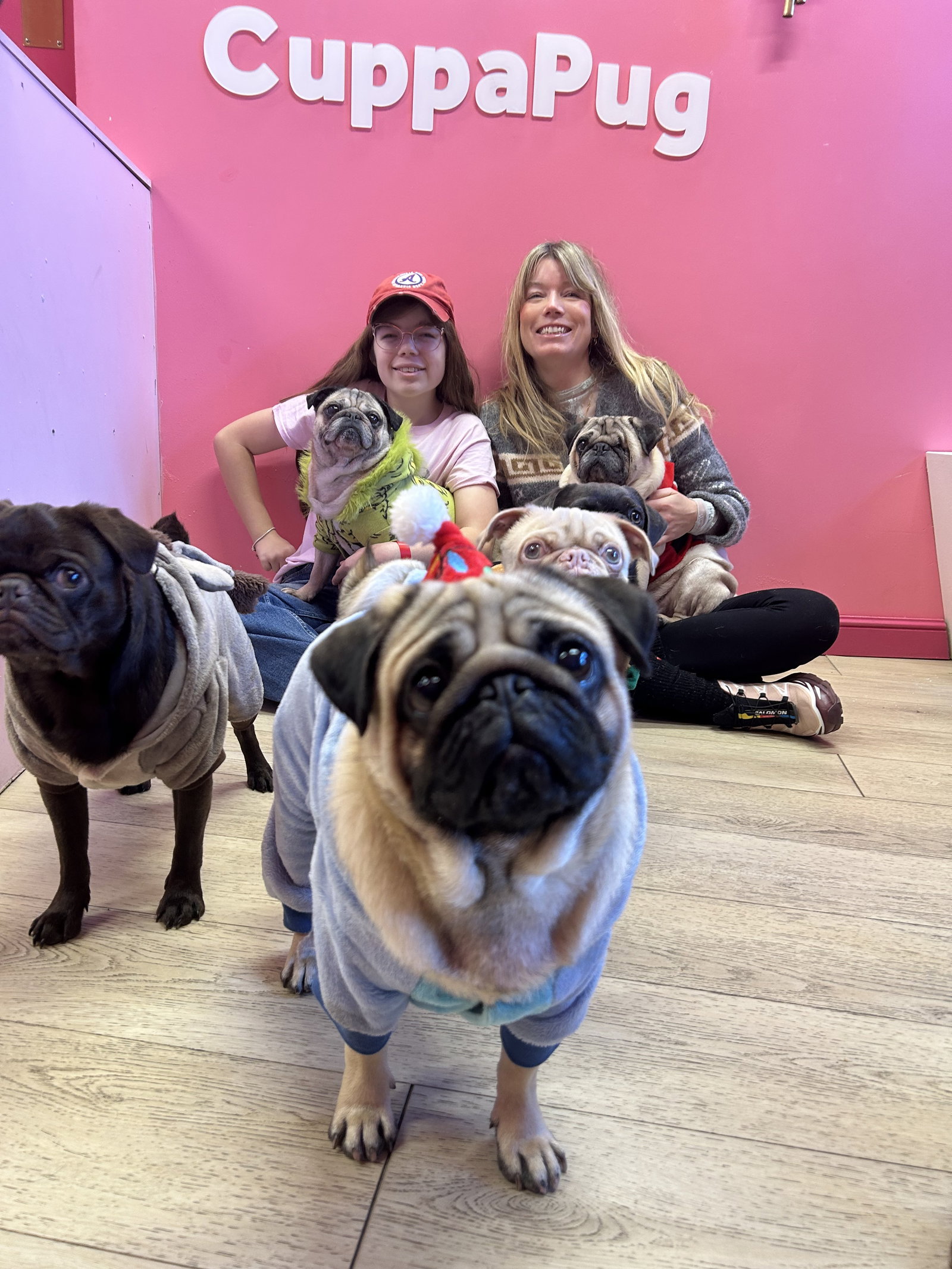 CuppaPug - Book Your Visit